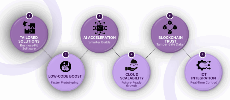 Custom Software Development Services